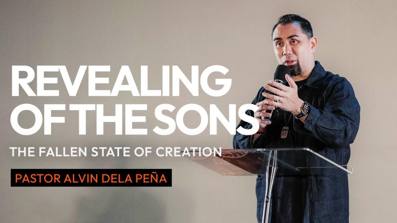 The Fallen State of Creation – New Life The Fort